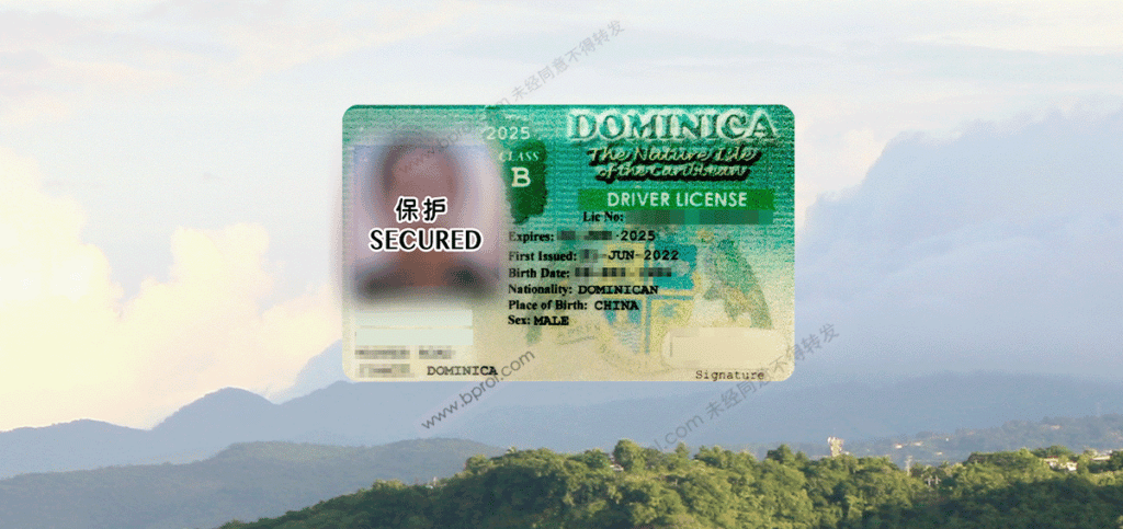 Is a Dominica Driver's License a God Card? Ten Reasons to Tell You - BPROL